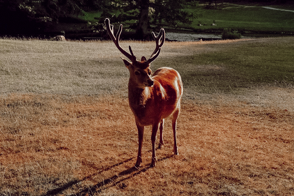 Aarhus, Denmark - tintofmint