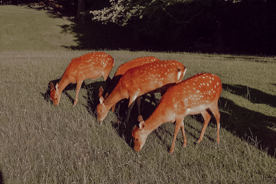 Aarhus, Denmark - tintofmint